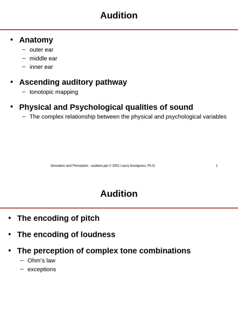 Audition | PDF