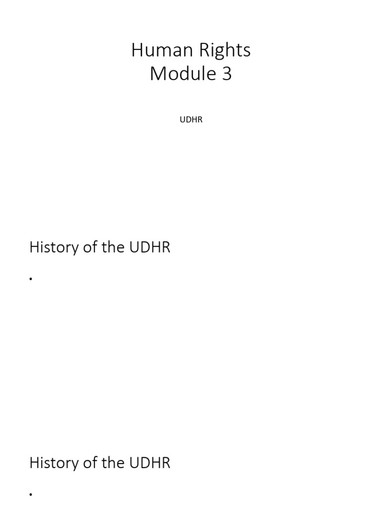 UDHR notes | PDF