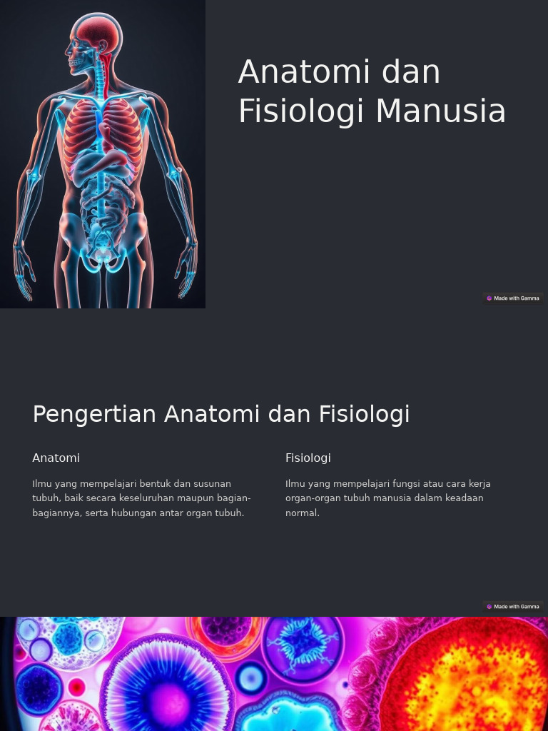 Anatomi Dan Fisiologi Manusia | PDF