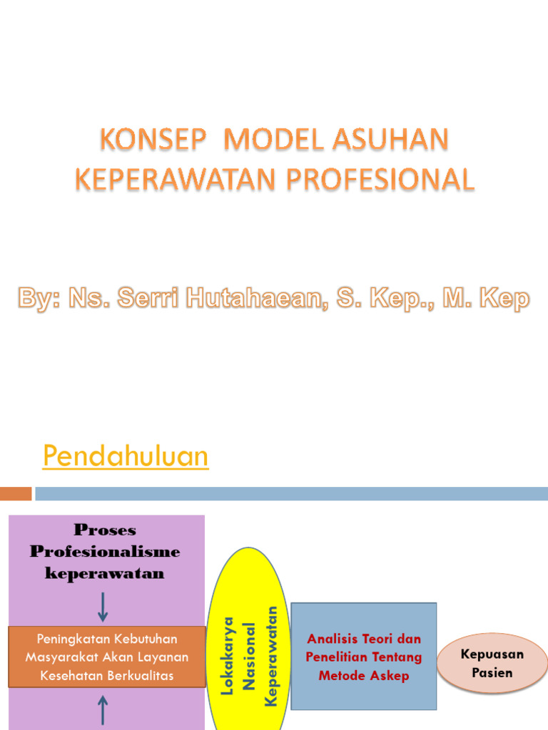 Konsep Model Asuhan Keperawatan Profesional | PDF