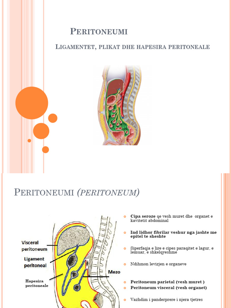 Peritoneumi (Dublikaturat Dhe Hapesira Peritoneale) | PDF