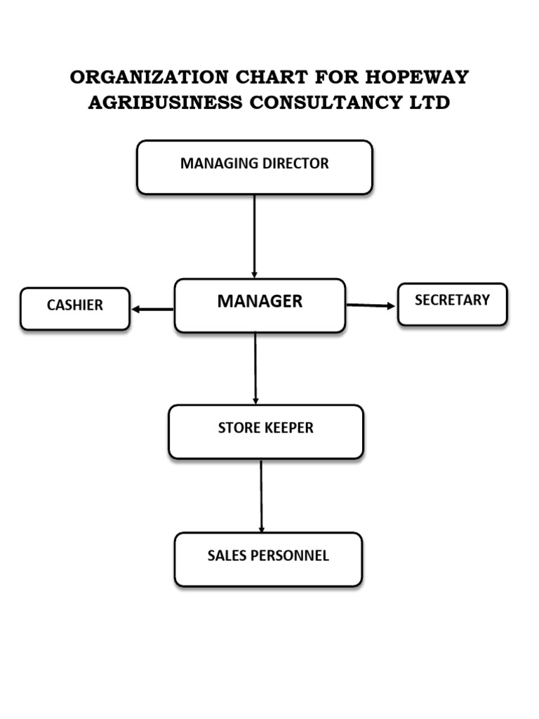 Flow Chart Sample | PDF | Business | Wellness