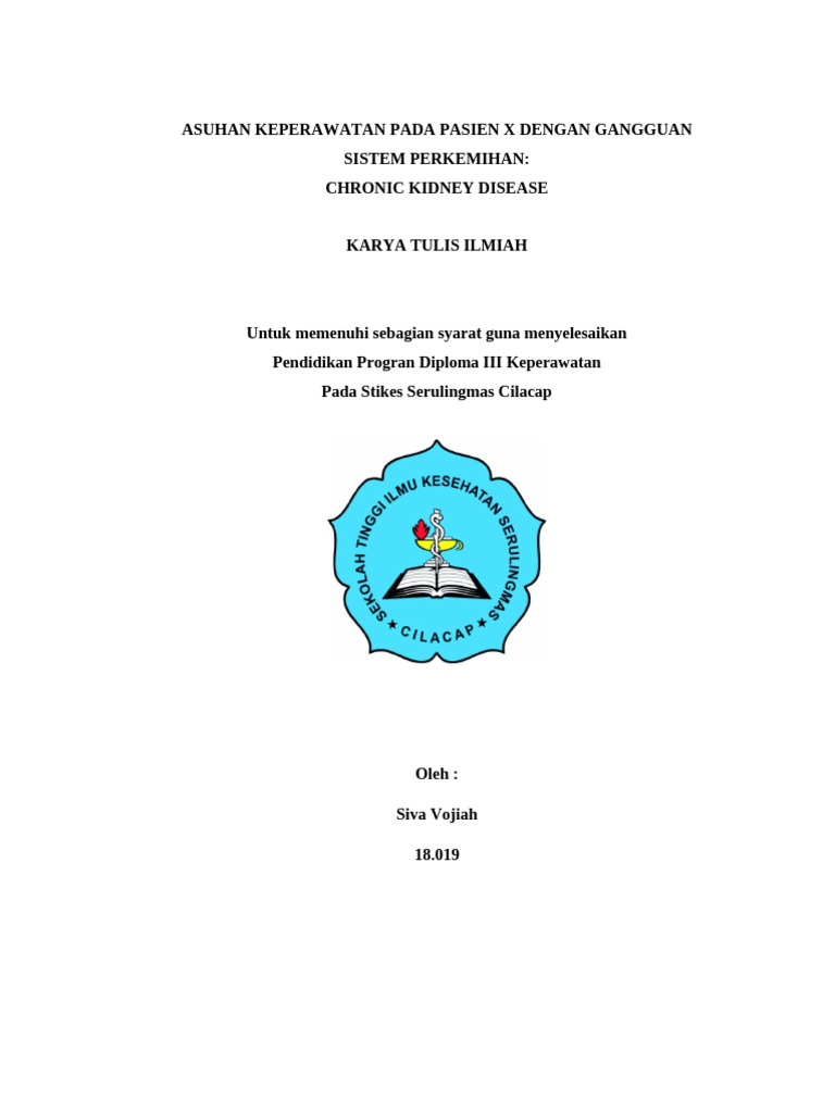 Asuhan Keperawatan Pada Pasien X Dengan Gangguan Sistem Perkemihan | PDF