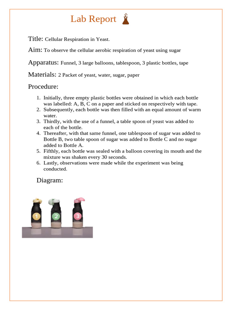 Yeast Cellular Respiration Experiment | PDF | Wellness | Science ...