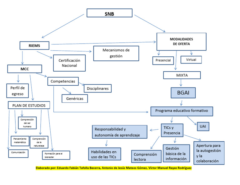 mapa conceptual SNB RIEMS BGAI | PDF
