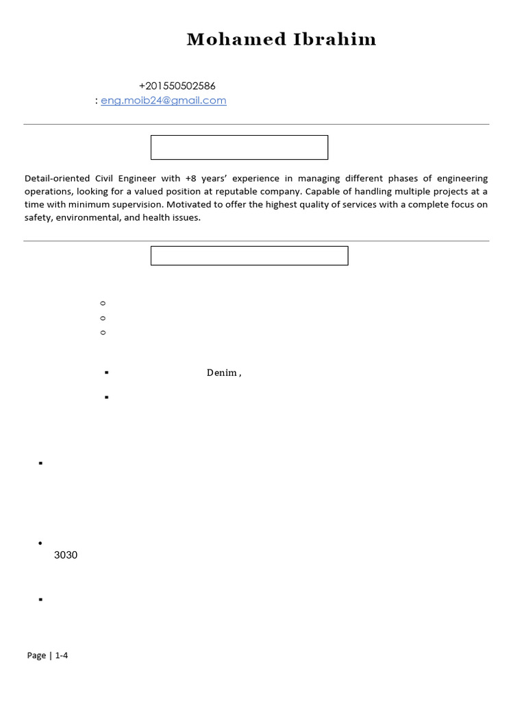 Mohamed Ibrahem CV | PDF