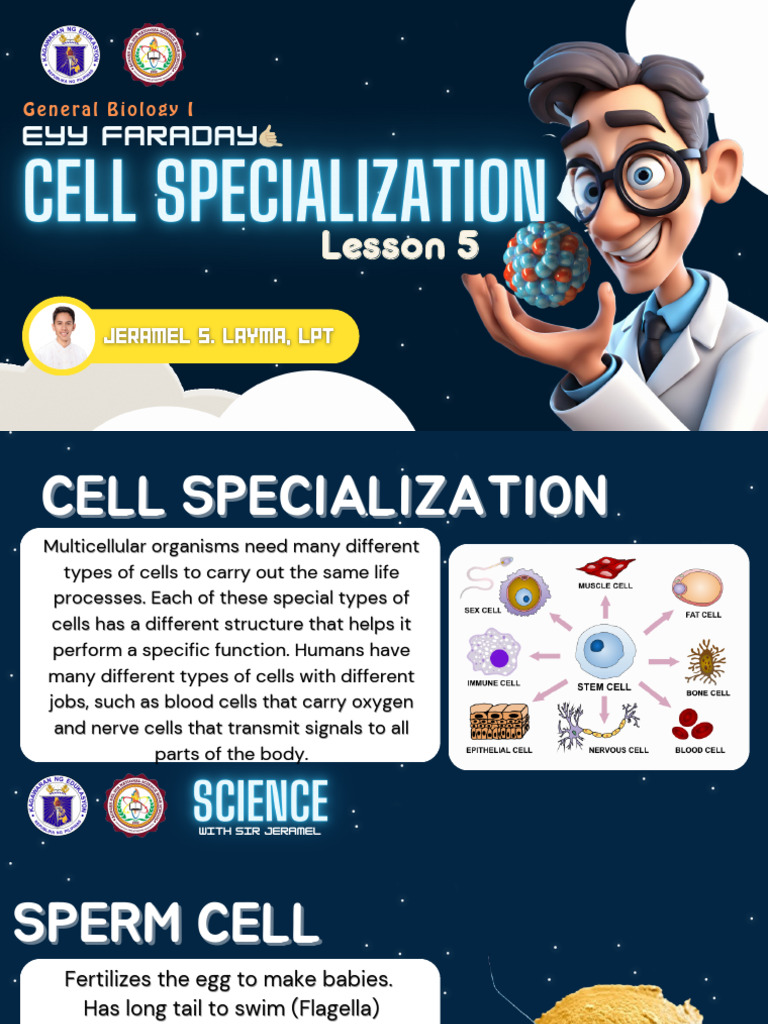 Cell Specialization | PDF