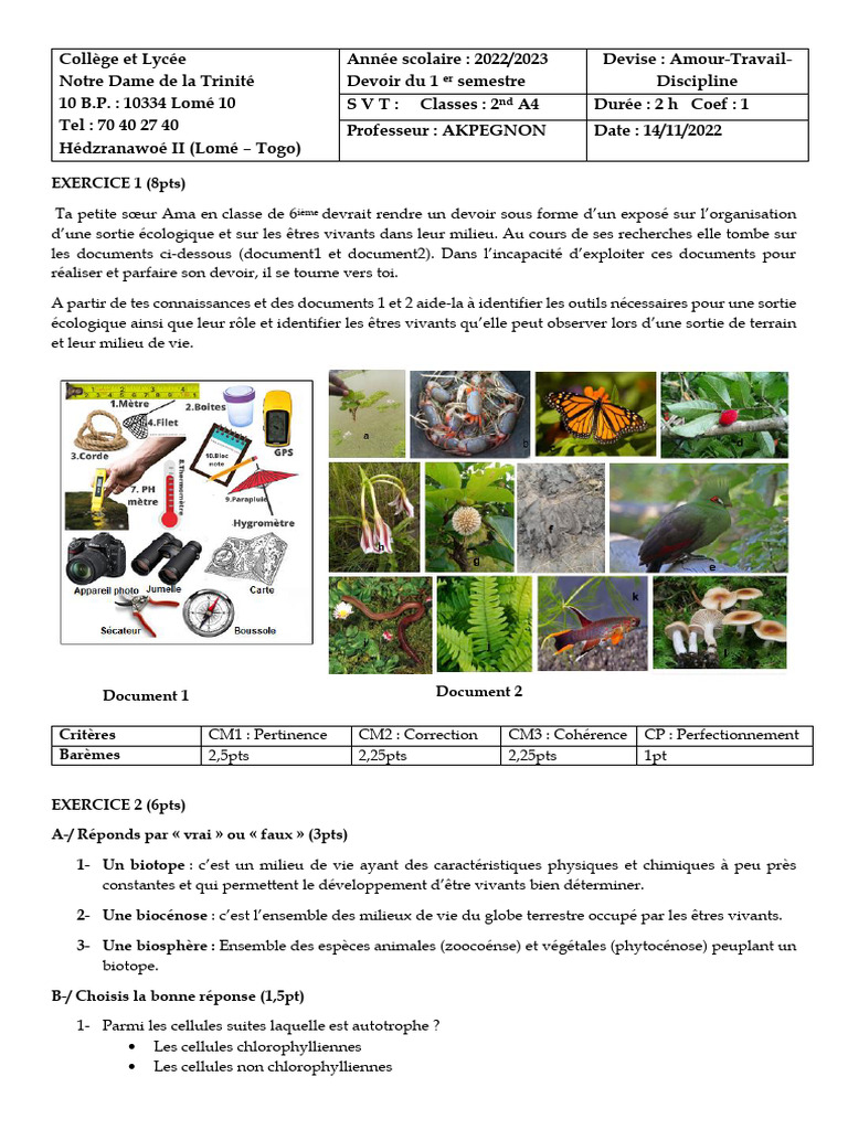 Devoir 2nde A4 2 | PDF