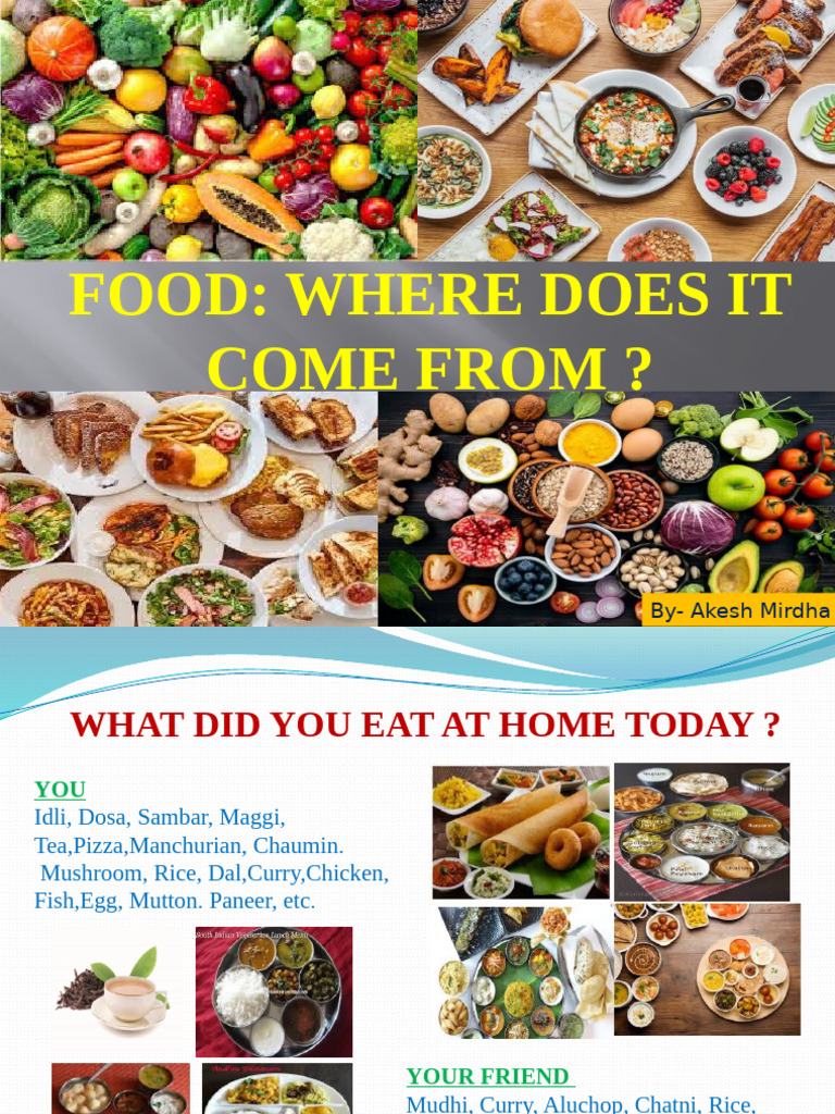 Presentation1 Class Vi Science CH 1 | PDF