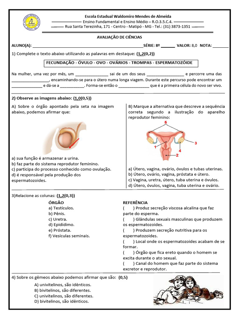 3 - Av Bimestral - Sistema Reprodutor Masc e Fem. | PDF
