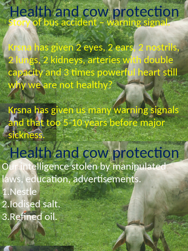 Cow Protection Health | PDF