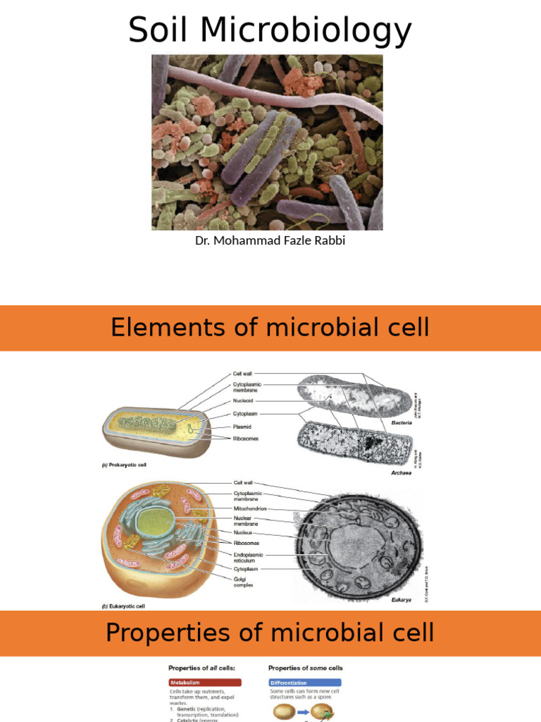 Microbiology Cell Structure | PDF