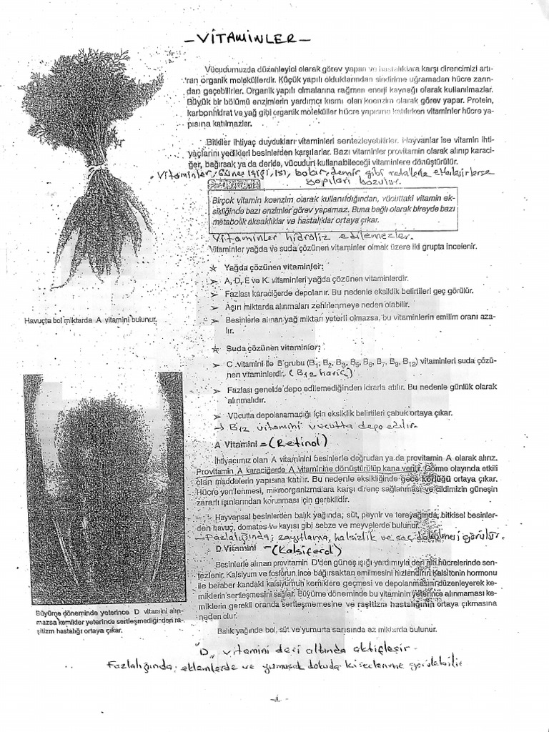 JotNot - 2023 03 01 | PDF