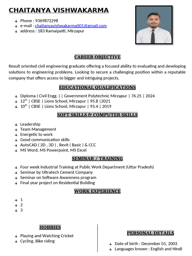 Future Resume Template | PDF