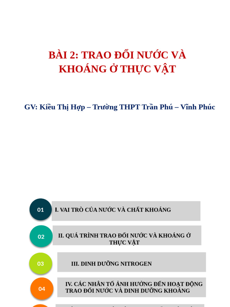 BÀI 2- DA SUA TRAO ĐỔI NƯỚC VÀ KHOÁNG Ở THỰC VẬT | PDF
