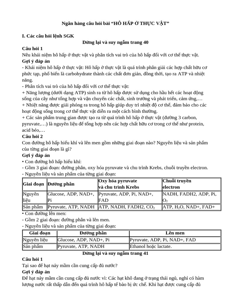 Câu Hỏi Bài Hô Hấp ở Thực Vật - Kntt | PDF