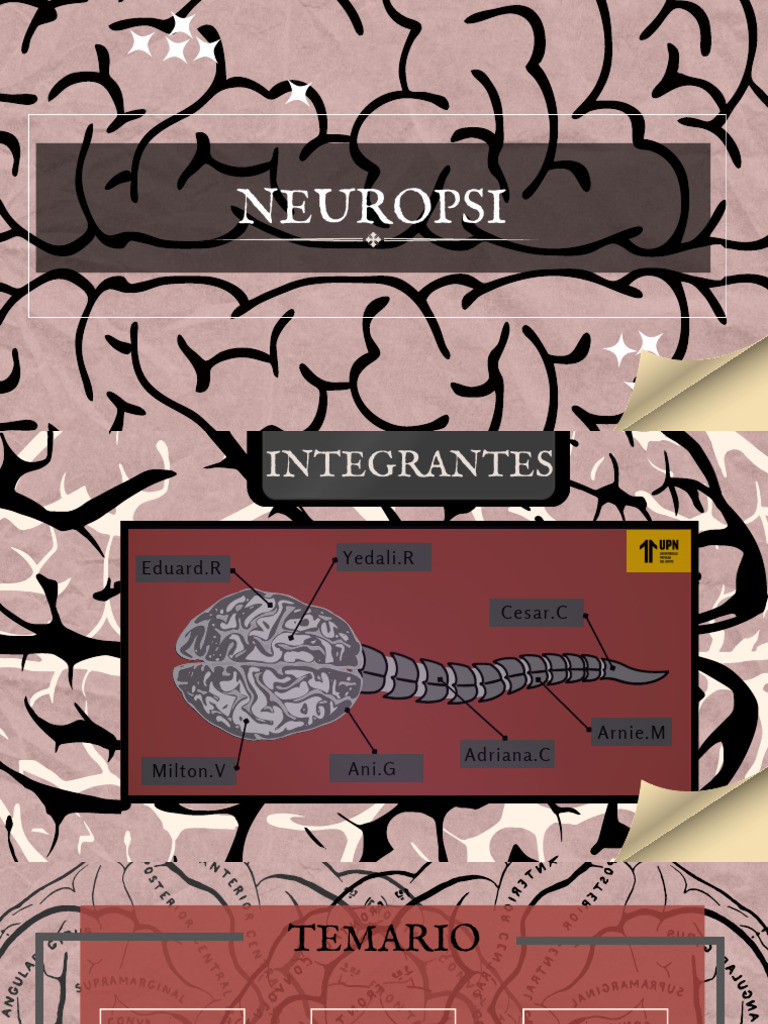 Neuropsi | PDF