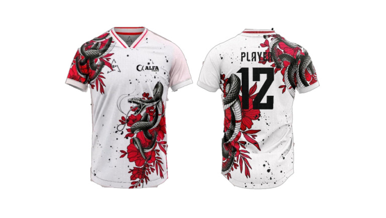 Camisetas Interclasse | PDF