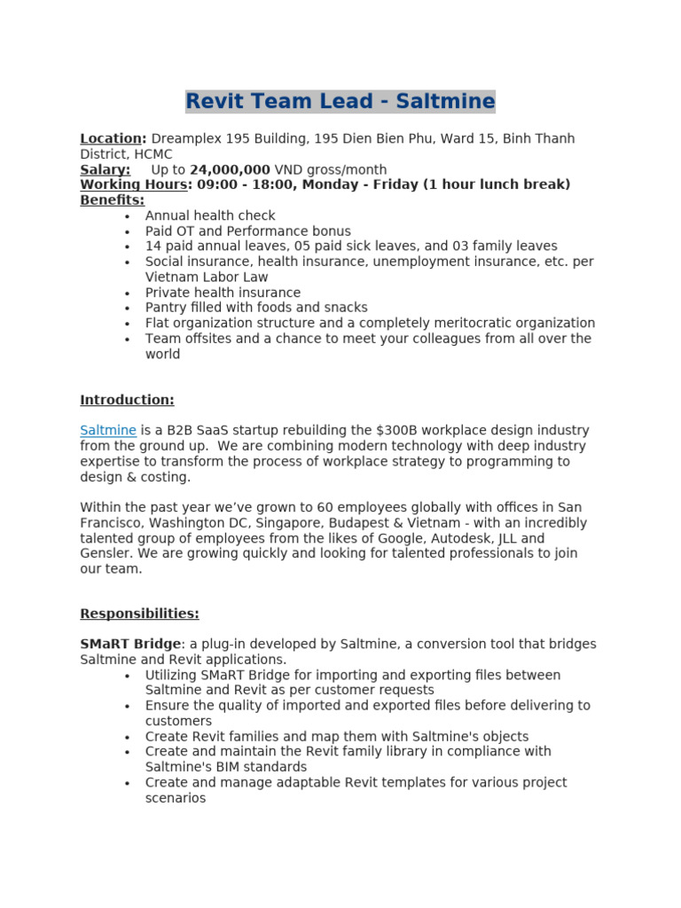 JD - Revit Team Lead - Saltmine | PDF