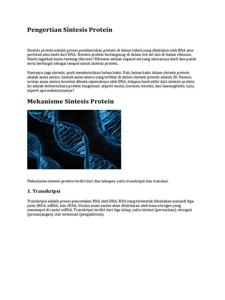 Materi Sintesis Protein | PDF
