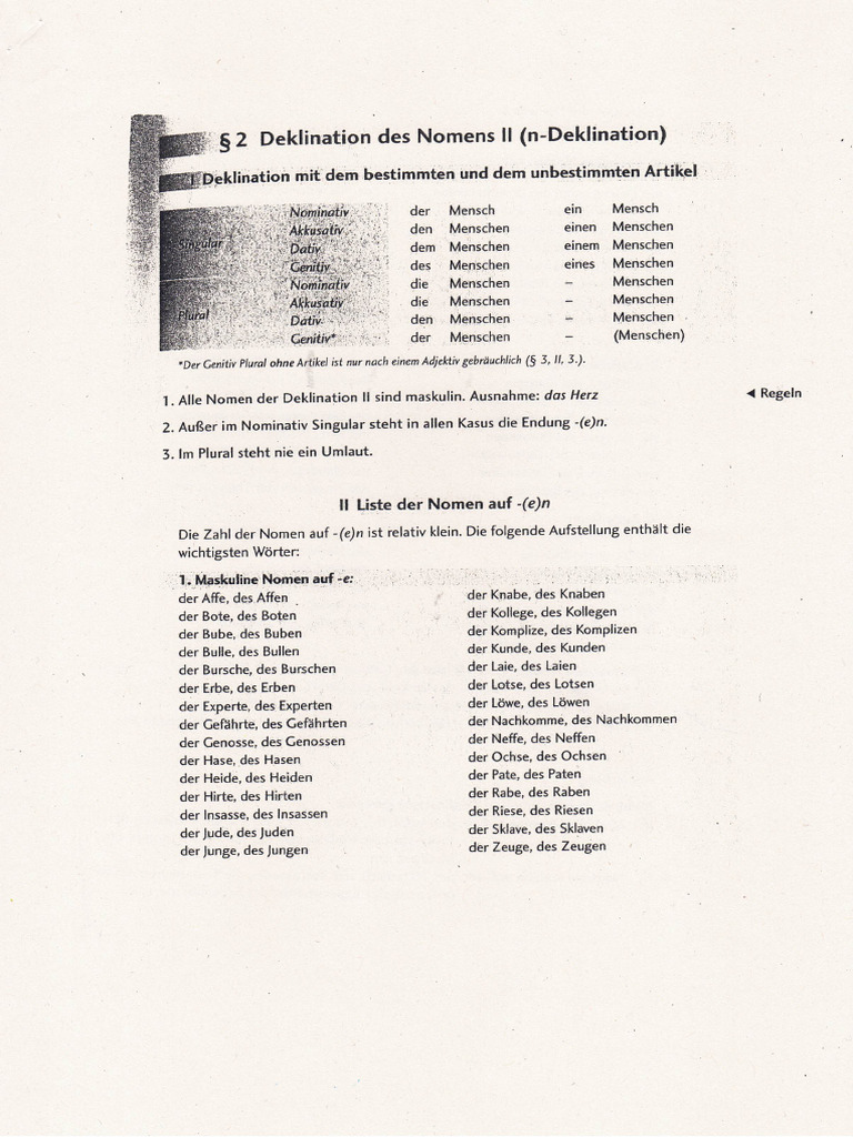 N Deklination | PDF