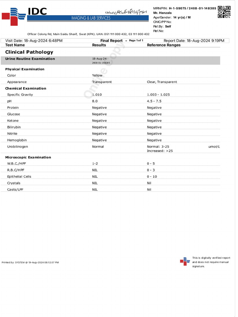 Patient Report PDF | PDF