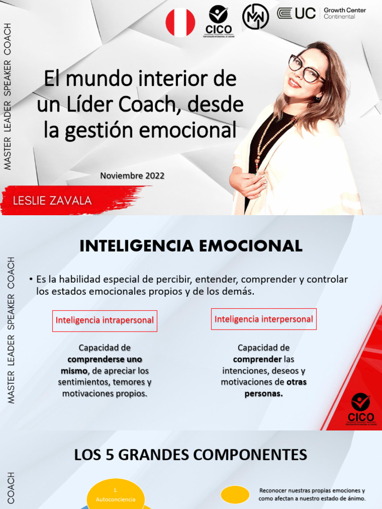 El Mundo Interior de Un Lider Couch | PDF