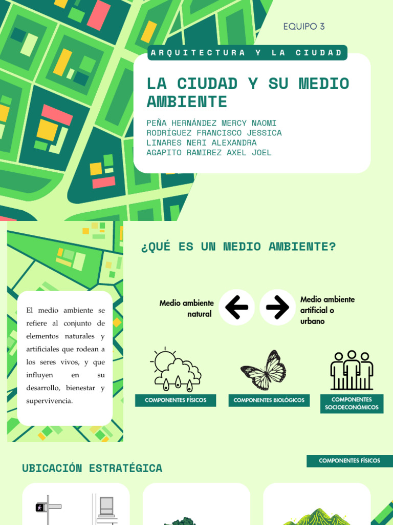 La Ciudad y El Medio Ambiente | PDF