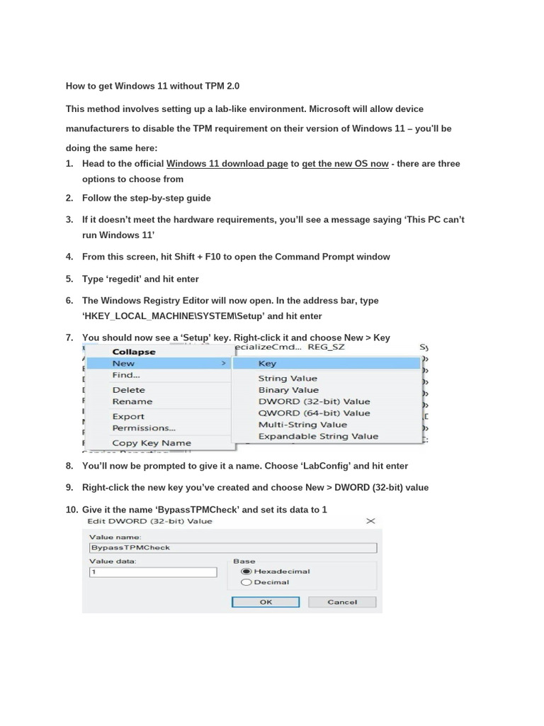 Win11 Witout TPM | PDF