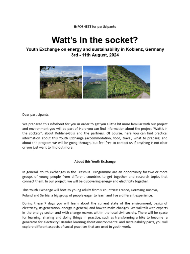 Infosheet - Watts in the socket_ | PDF