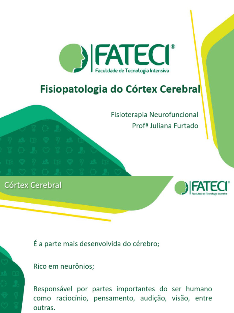 08 - Fisiopatologia Do Córtex Cerebral - Prof Juliana Furtado | PDF