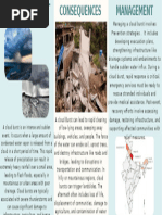 EARTHQUAKE Roleplay (SCRIPT) | PDF | Earthquakes