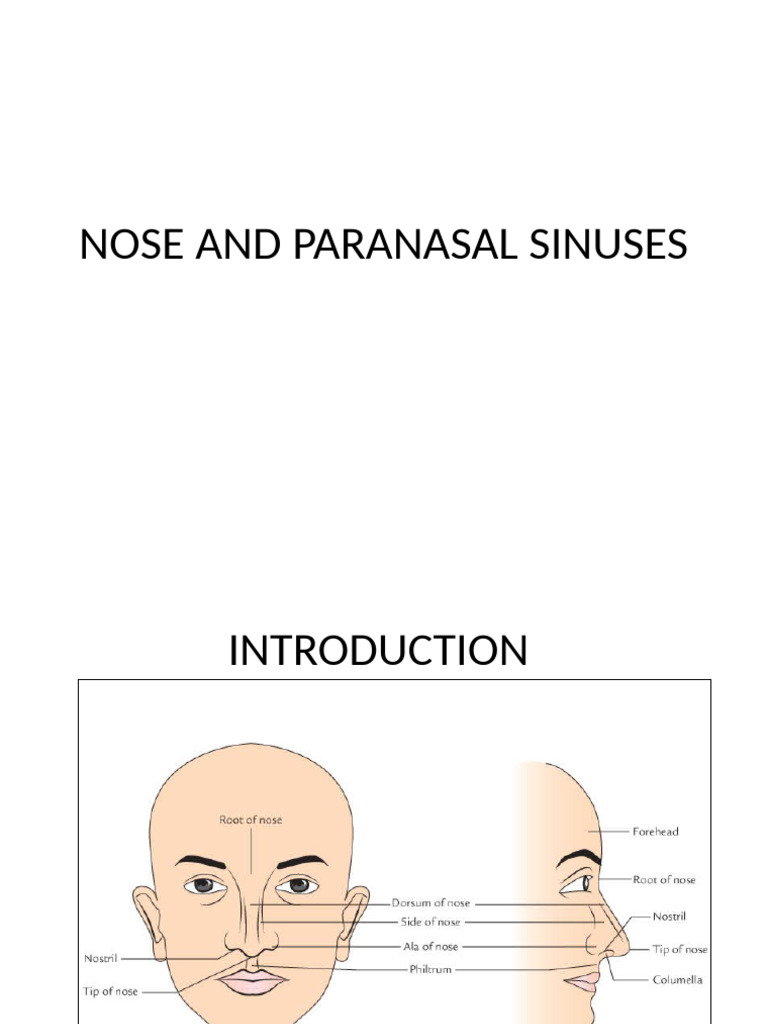 Nose &PNS | PDF