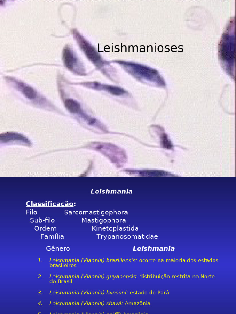 4 Leishmanioses | PDF