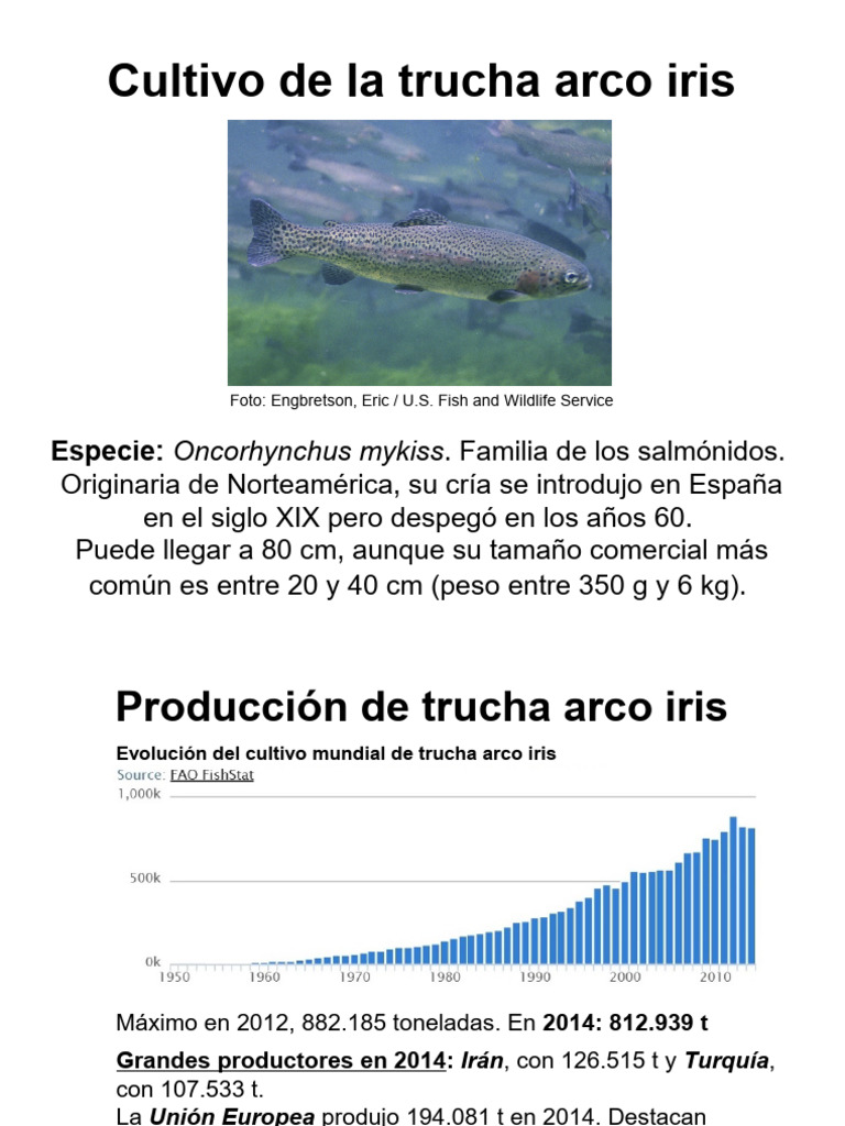 Cría de la trucha arco iris | PDF