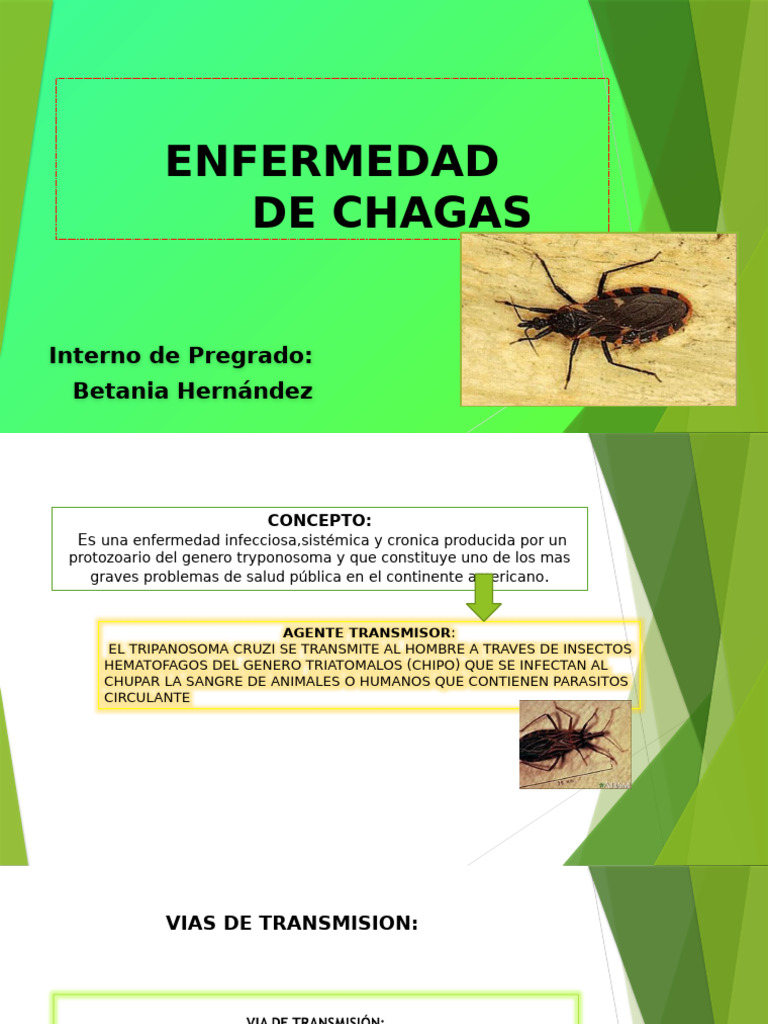 Enfermedad de Chagas | PDF | Medicina CLINICA | Enfermedades y trastornos