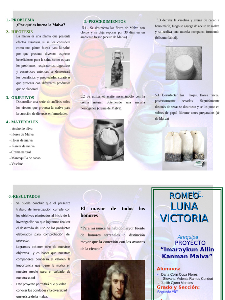 Triptico-Experimento 2019 | PDF