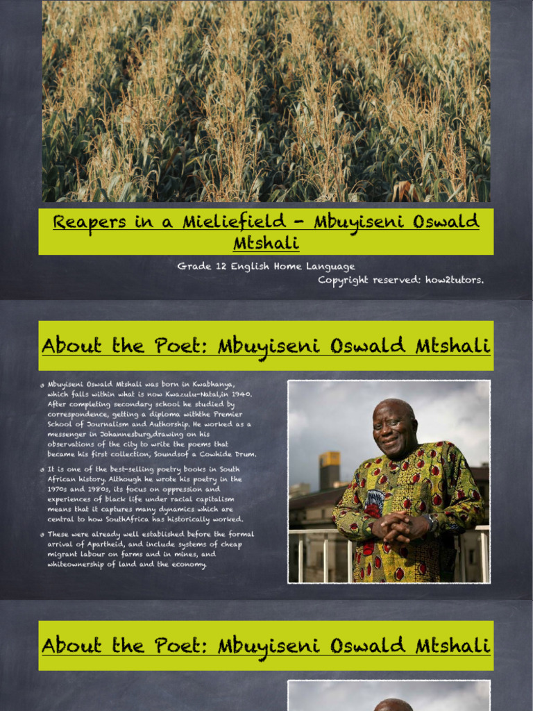 Reapers in A Mieliefield | PDF