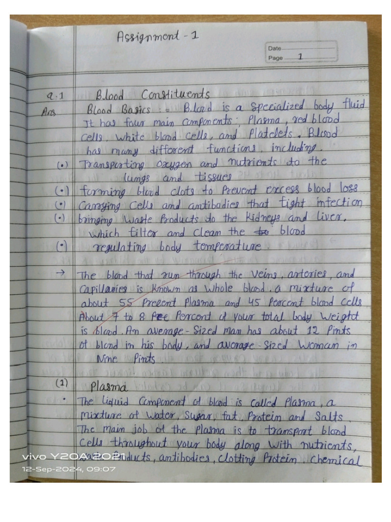 Bioch. Assignment 1. Blood Chemistry | PDF