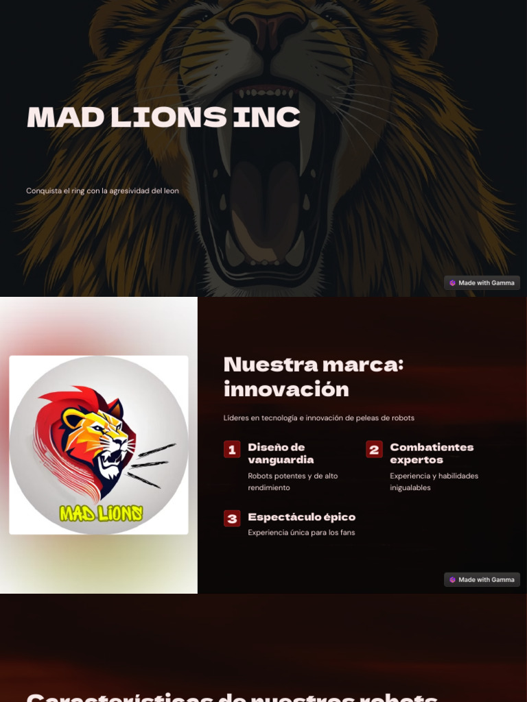 Mad Lions Inc | PDF