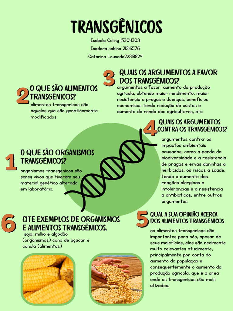 O Que São Organismos Transgênicos | PDF
