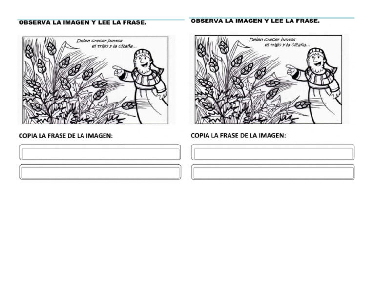 Trigo y Cizaña | PDF