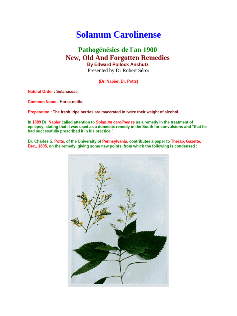 Solanum Carolinense | PDF