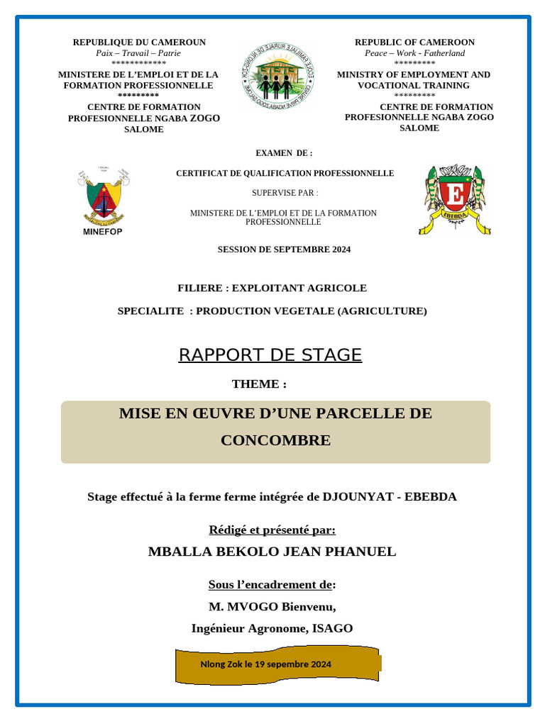 Rapport de Stage Mballa Nekolo Jean Phanuel | PDF