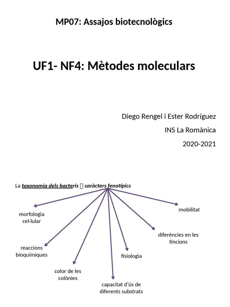 UF1 NF4 Mètodes Moleculars | PDF