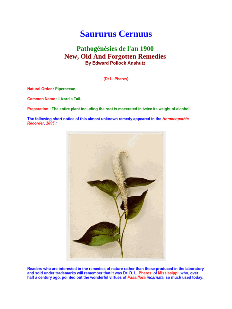 Saururus Cernuus | PDF