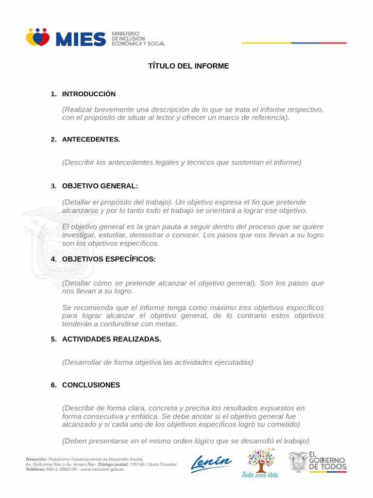Anexo 9 Formato Informe Institucional | PDF