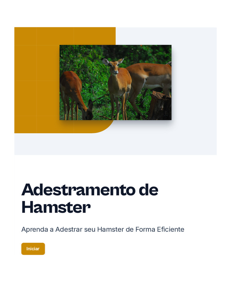 Adestramento de Hamster | PDF