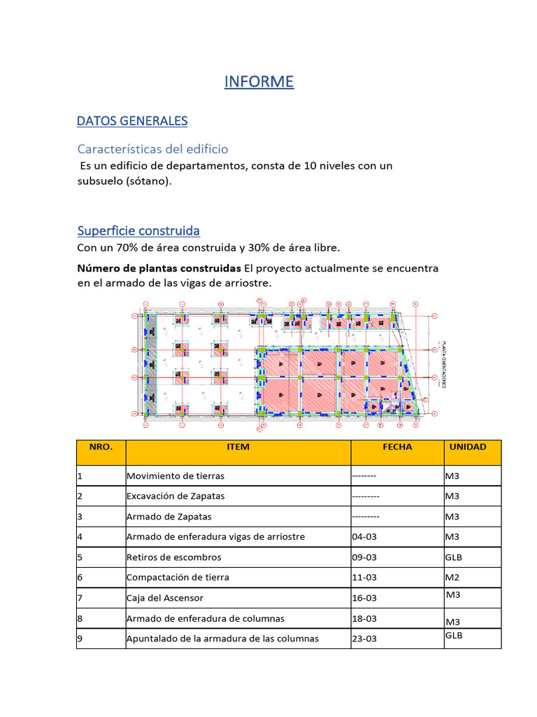 FORMATO DE INFORME (1) | PDF
