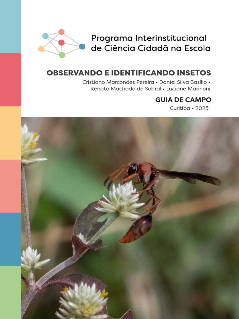 PICCE Guia-De-campo-08 Observando Identificando Insetos | PDF